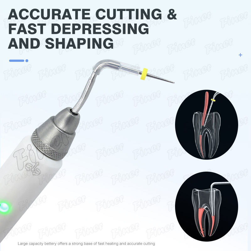 Obturation Devices: Advanced Dental Root Canal Filling Systems