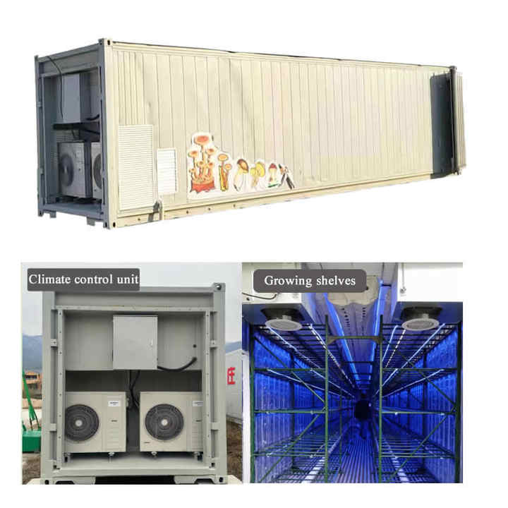 Smart Mushroom Farming Container 20ft/40ft Fruiting Room with Climate Control Unit and ...