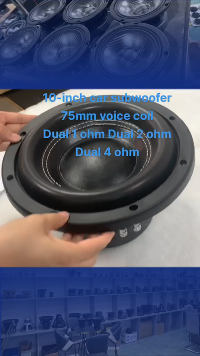 10-Inch Subwoofer 1000W Dual 4 Ohm Car Audio Powered Subwoofer DC 12V ...