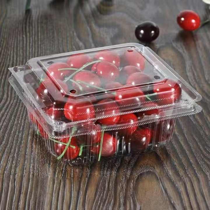 Factory Clear PET Disposable Plastic Fruit Strawberry Vegetables ...