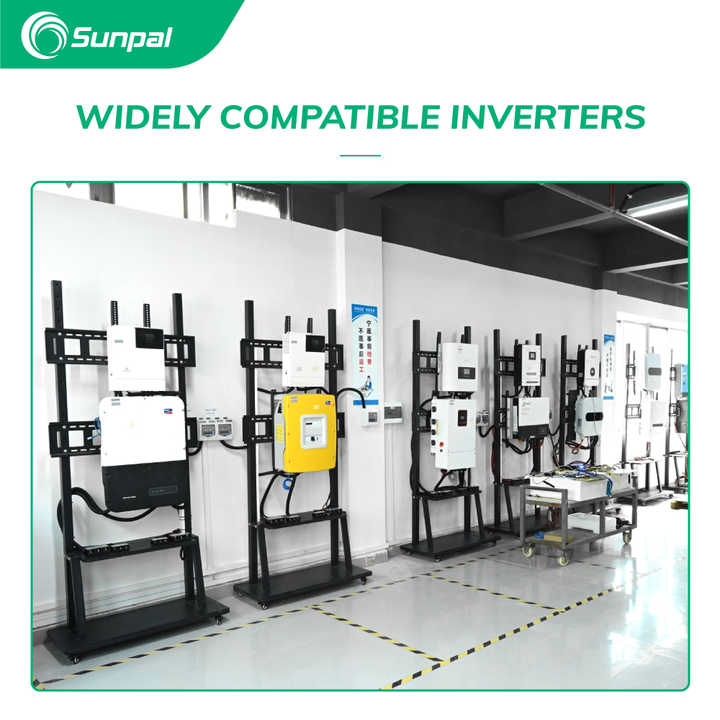 Sunpal Smart Lifepo4 Energy Storage Battery 48V 51.2V 100Ah 200Ah Solar Lithium Ion Battery ...