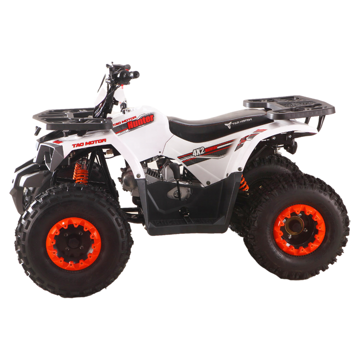 Cheap Chinese ATV 125cc - Tao Motor Best Selling Model