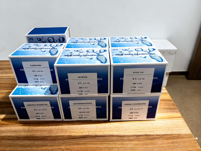 Rat Insulin INS ELISA Kit for Research Use Only Measuring Insulin ...