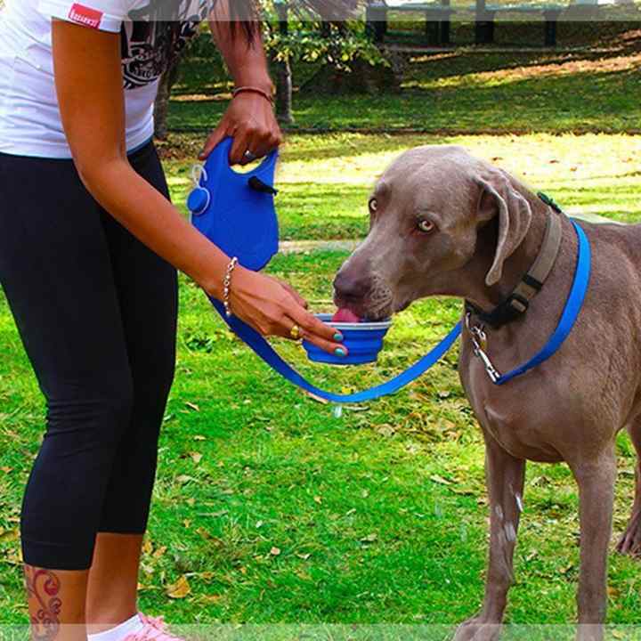 3 in 1 Durable Dog Leash Multifunctional Walking Running Nylon Dog ...