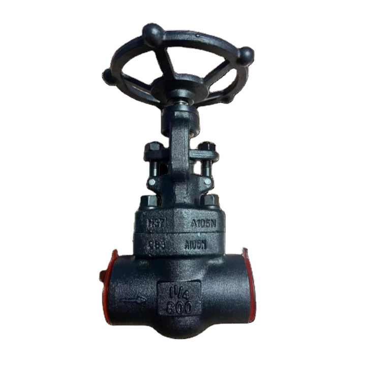 DN15-DN50 ASTM Standard Class 800 A105 Forged Carbon Steel Flange Ends ...