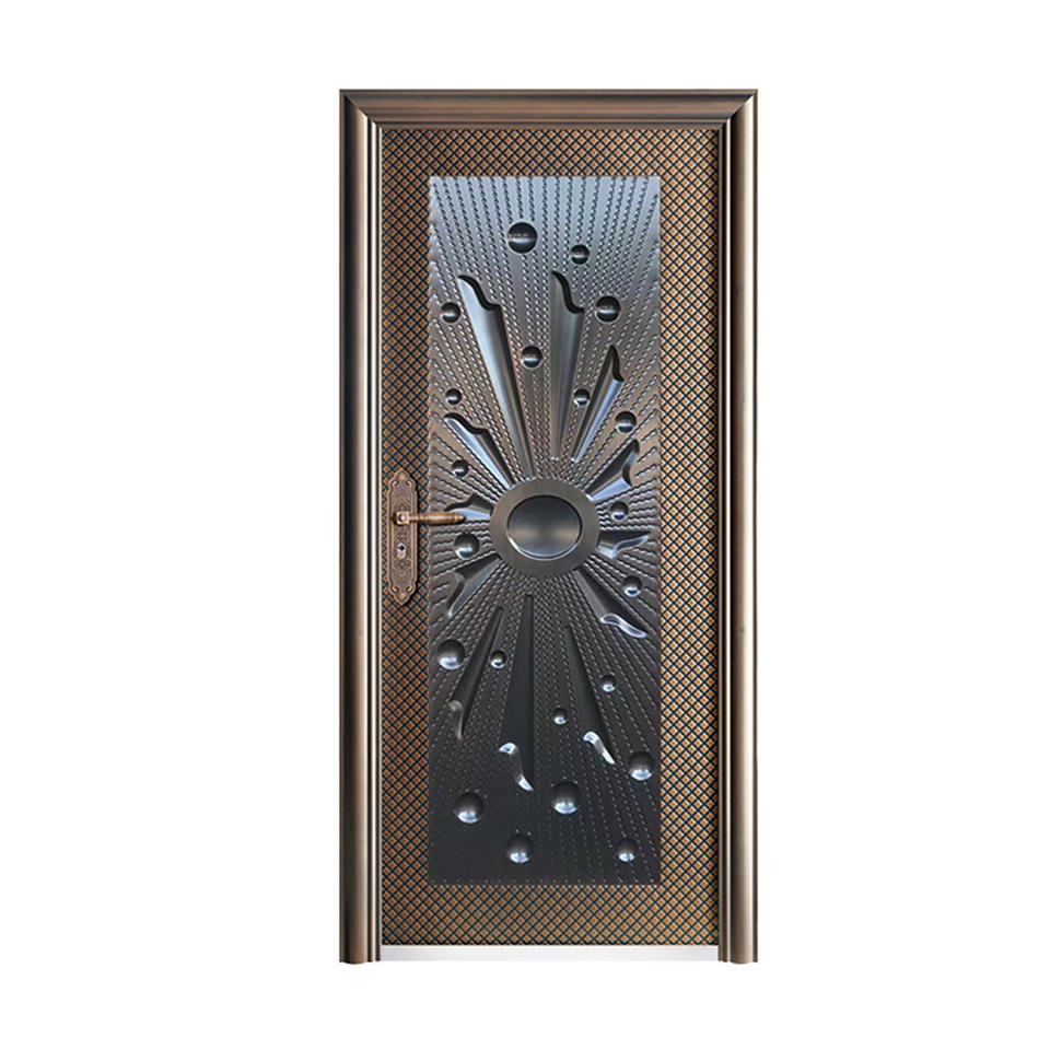 PHIPULO Elite Tinted Outer Doors High-Quality Metal Security Front ...