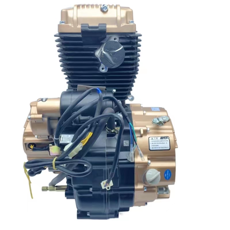 Giảm Giá Mạnh Động Cơ Xe Máy Zongshen Cg250 250cc Động Cơ Xe Máy Thông ...