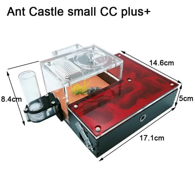 Ant Queen Breeding Area - Anthill Castle Ant House