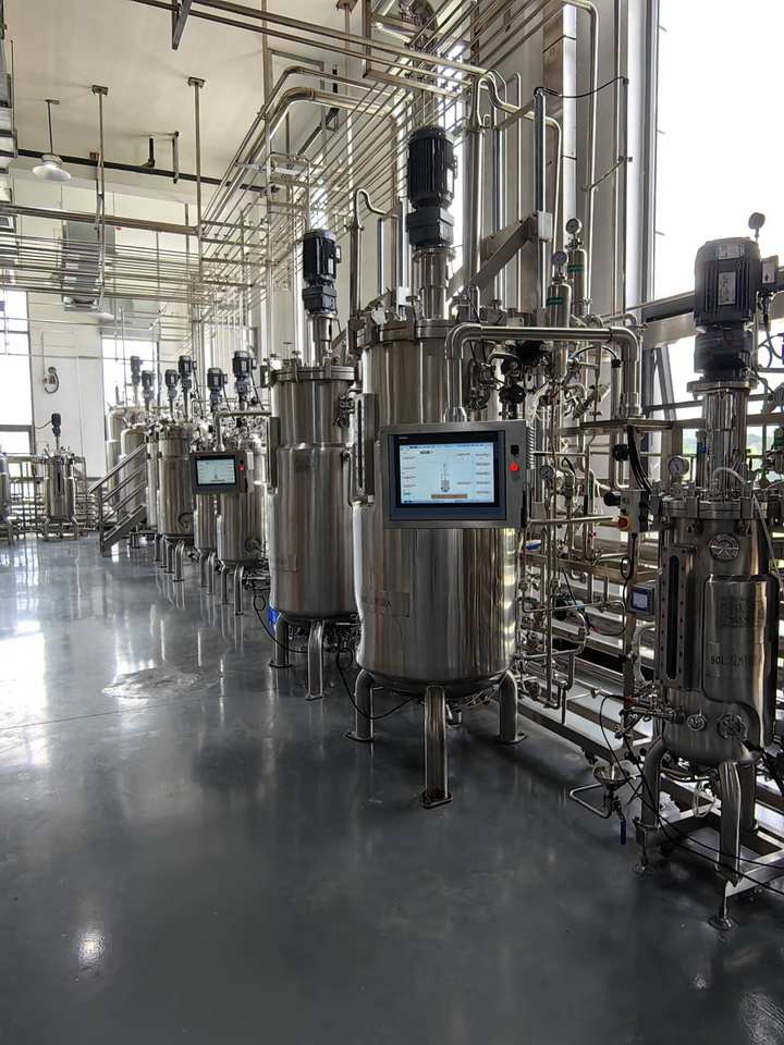 GMP PLC Controlled Stainless Steel Bioreactor 50-15000L