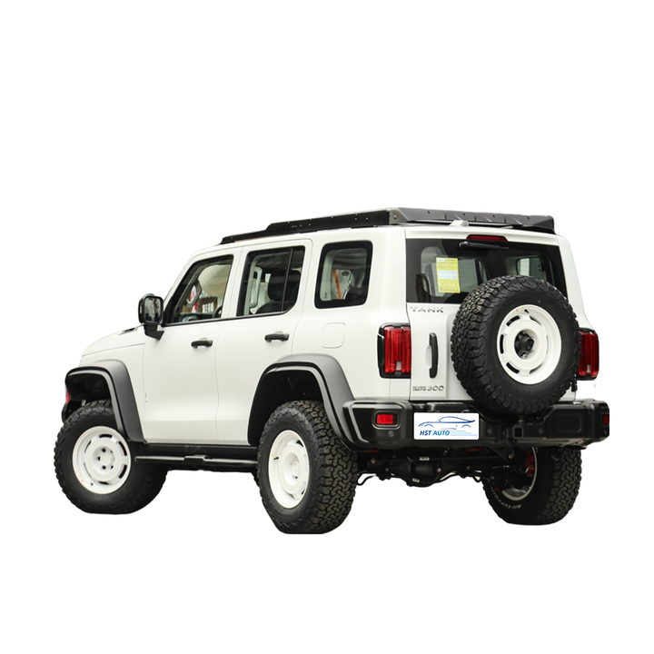 Great Wall Tank 300 2.0T Petrol Fuel Suv Phev Vehicle 2024 Hybrid Ev ...