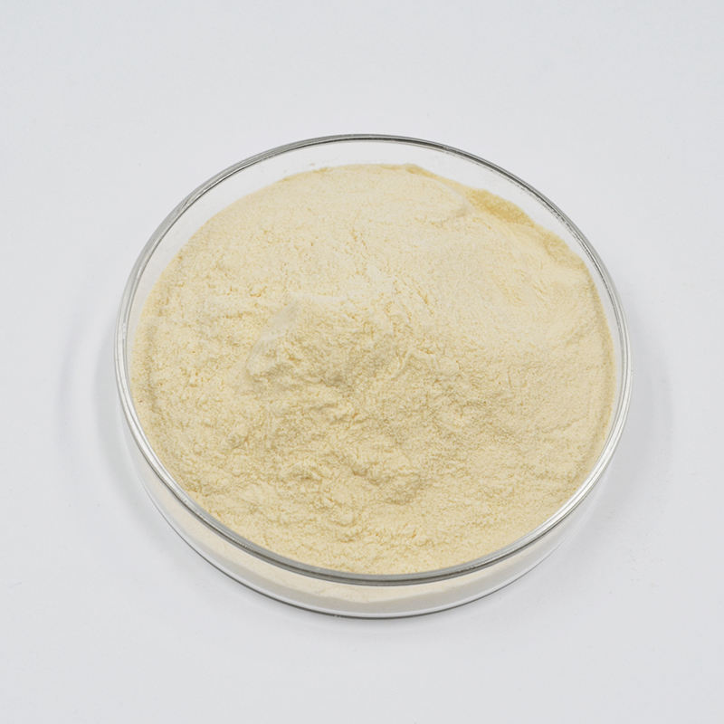 Sika 200P Gypsum Retarder High-efficiency Alkali-resistant Calcium ...