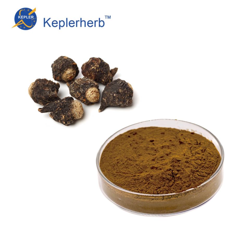 KEPLER Black Maca Root Extract Maca Extract Powder Healthcare ...