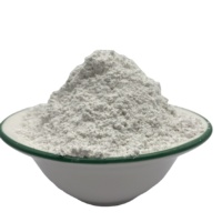 Dolomite Powder