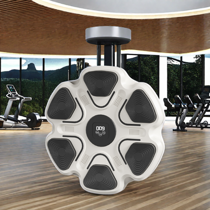 Boxing Multi Training Target Intelligent Boxing Machine Wall Target ...