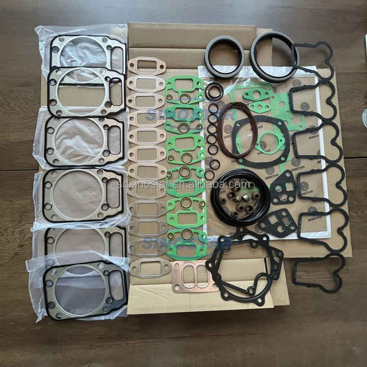 WEICHAI Diesel Engine Overhaul Kit 1003010859 for DEUTZ WP6