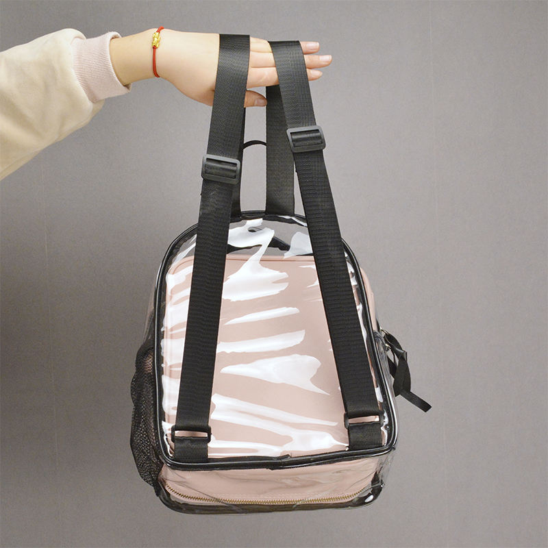 Clear Mini Backpack - Transparent Waterproof School Bag