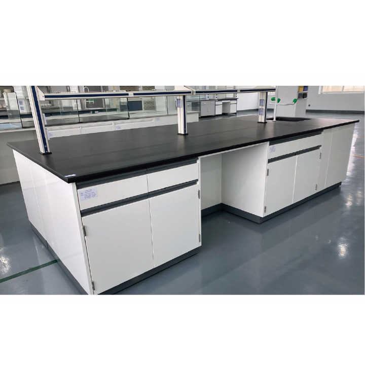 Modern All-Steel Physics Laboratory Bench with Sinks and Cabinets for ...
