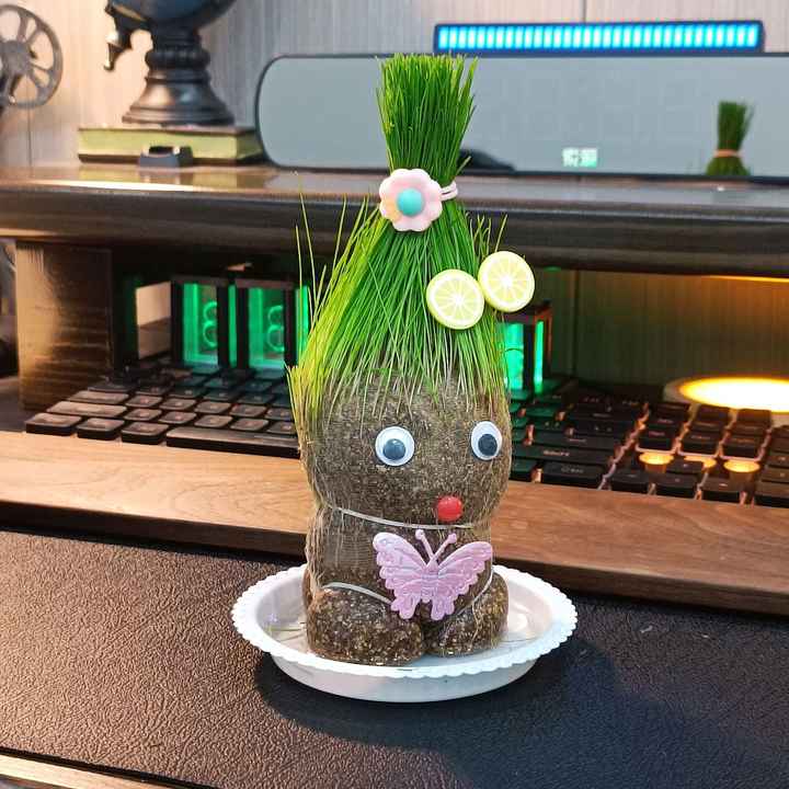 Eco Friendly DIY Grass Doll Growing Kit - Creative Gift