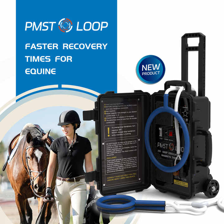 Portable Pemf Magnetic Therapy Device for Horse Pain Relief