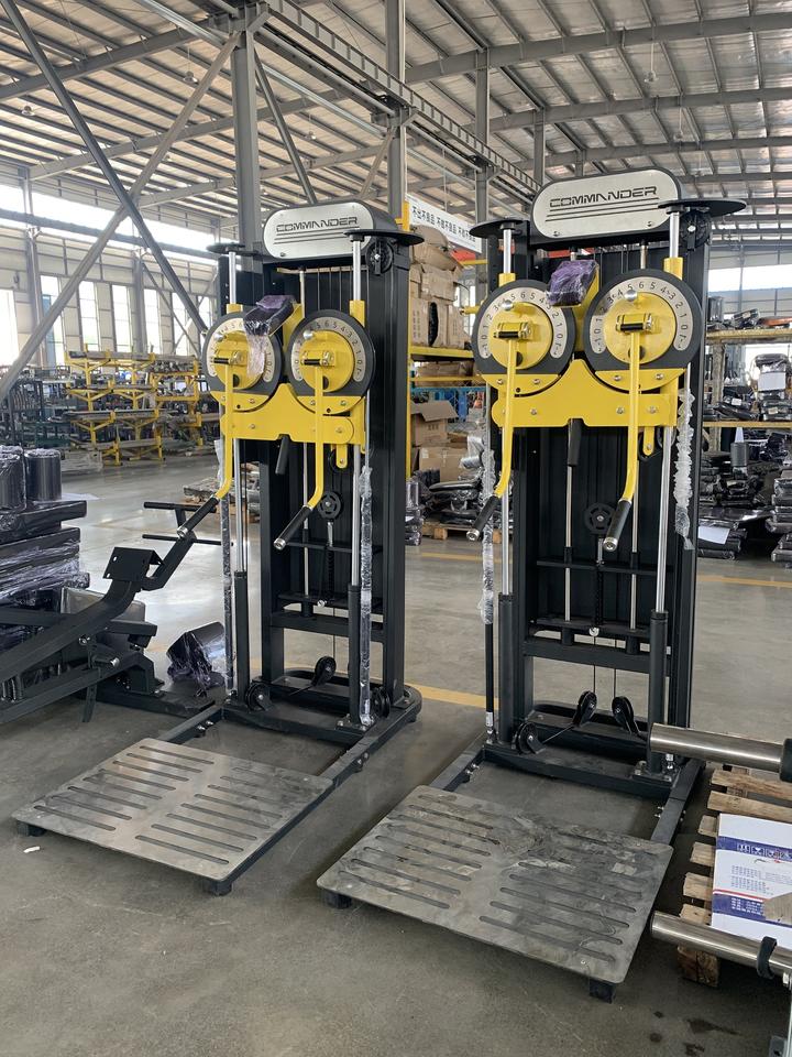 Pin Loaded Commercial Use for Gym Lateral Raise Fitness Equipment Power ...