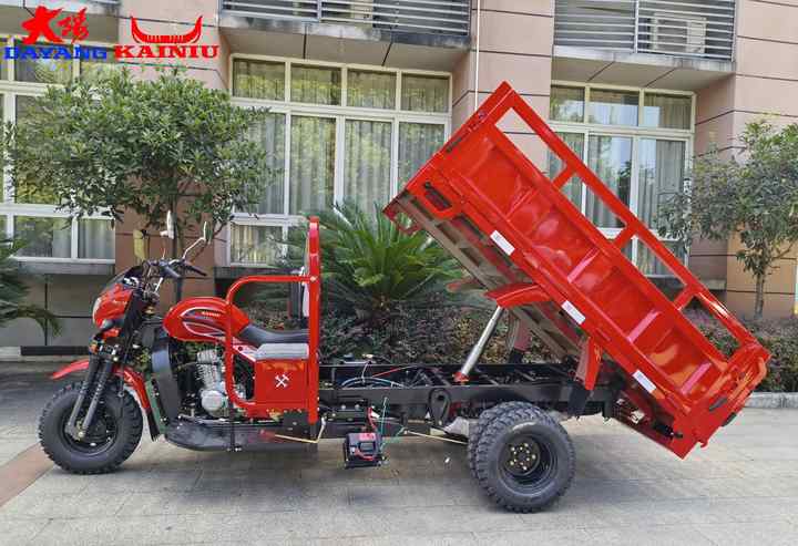 2025 New Model Custom Design 3 Wheel Motorcycle Cargo KAINIU Dayang KingII 250cc Water-Cooled ...