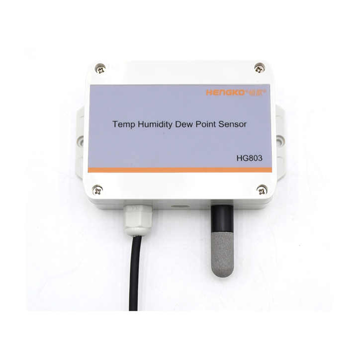 HG803 4-20mA RS485 Modbus RTU Temperature Humidity Sensor with Display Transmitter for Building ...