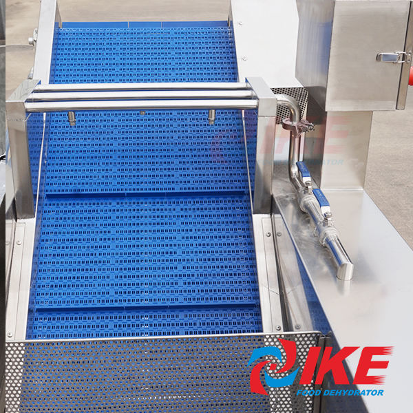 How to Choose the Best Motorized Onion Dispenser for Your Kitchen