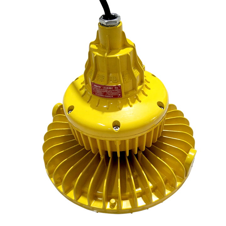 20W-200W Explosion Proof LED Luminaire Industrial Lighting Standing ...