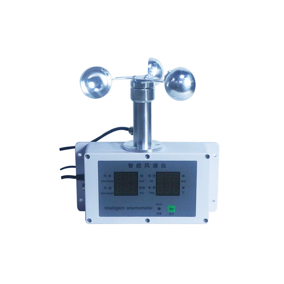 Tower Crane Wind Speed Sensor Anemometer - Real-Time Data