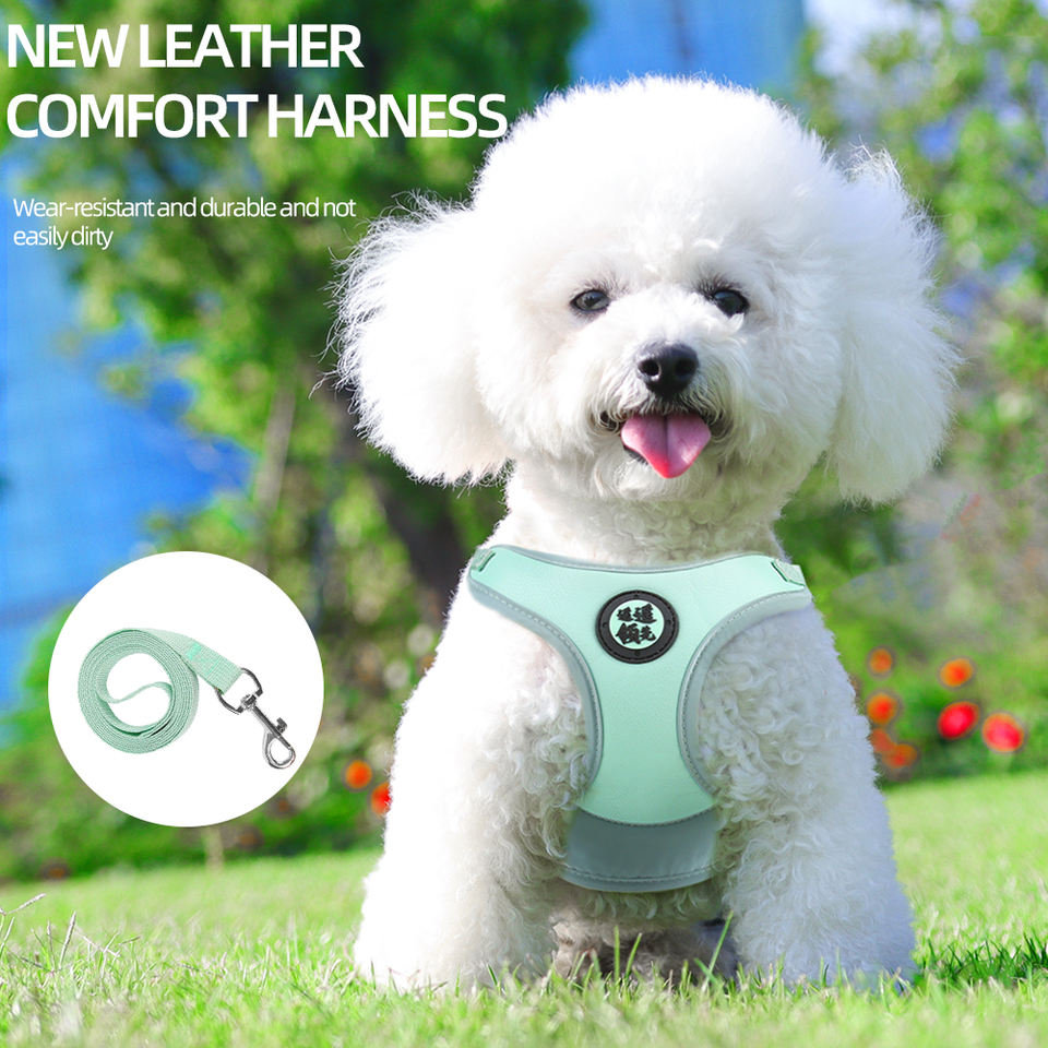 Custom Sublimation Dog Leash with Logo High Quality Padded Nylon Dog ...