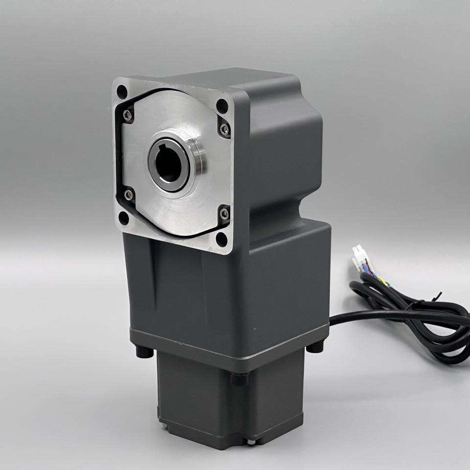 AC Permanent Magnet Synchronous Reduction Motor with 15mm Hollow Shaft ...