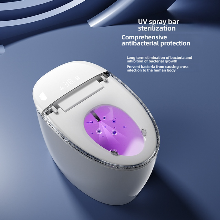 Dual Flush Smart Toilet System Commercial Bidet Intelligent Toilet ...