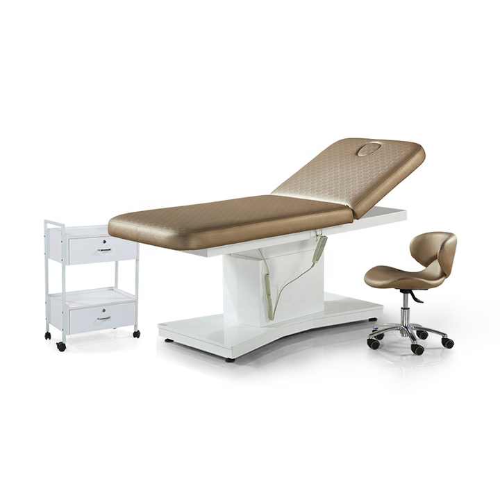 Modern Luxury Adjustable Height and Backrest Therapy Spa Salon Cosmetic ...
