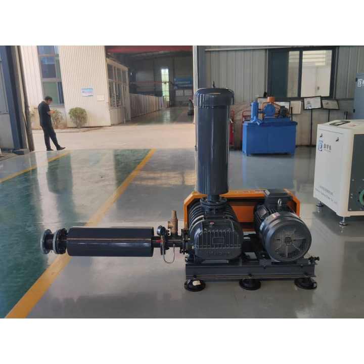 Shandong Factory Blower Motor 1hp 3hp 5hp Hot Sell Aquaculture Aerator ...