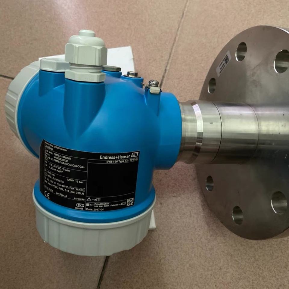 Endress Hauser Guided radar Measurement Time-of-Flight Levelflex FMP55 ...