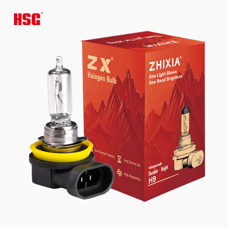 Car Accessories ZX Auto Headlight Lamp H4 12V/24v Car Bulb Halogen Bulb ...