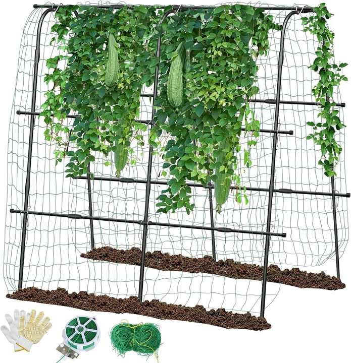Great DIY Garden Trellis Arch Stand for Climbing Grape Loofah Cucumber ...