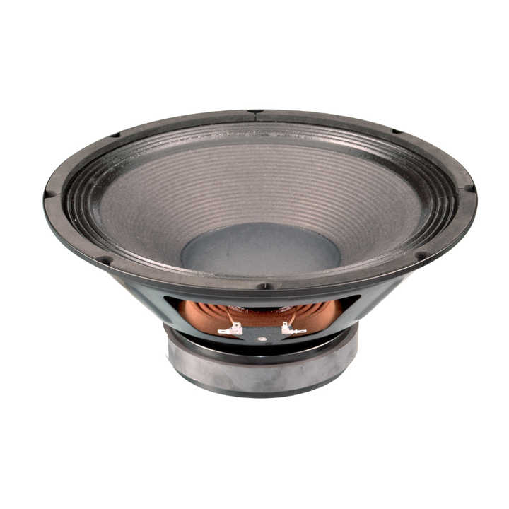 12 Inch Speaker Woofer for Professional Audio Loudspeaker