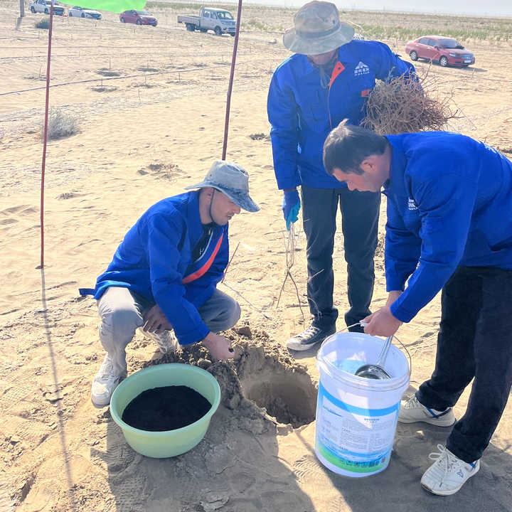Water-retaining Agent for Improving Soil Moisture with Long Service ...