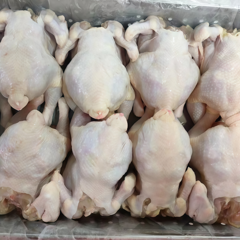 Halal Organic Frozen Whole Chicken Halal Frozen Chicken Halal Frozen ...