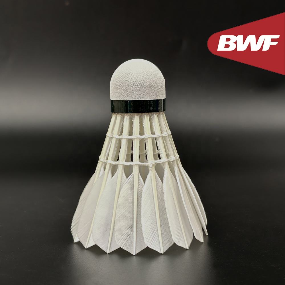 How to Choose the Best Nylon Shuttlecock: Top Picks & Buying Guide