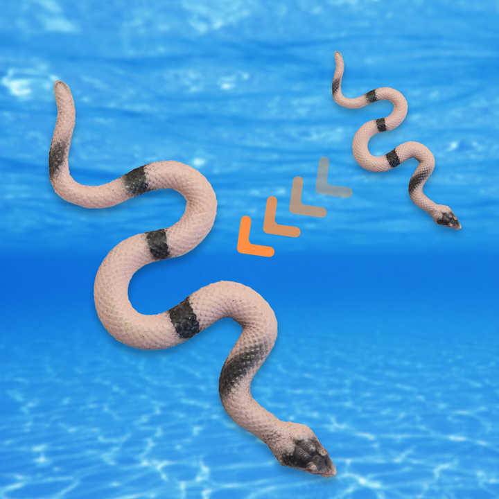 4 Pcs EVA Water-Expanding Snake Model Toy High Simulated Reptile ...