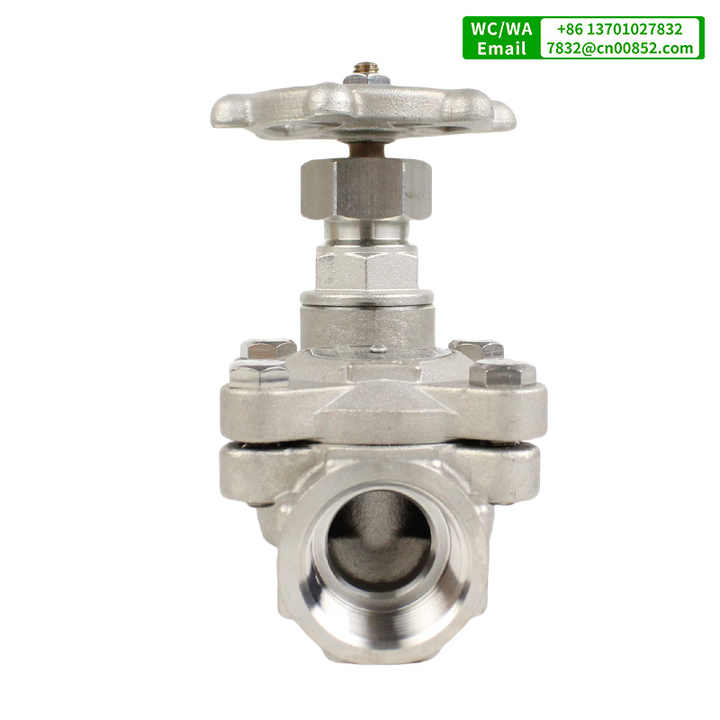 MIYAWAKI DV1-10H Steam Trap - Efficient and Reliable Performance