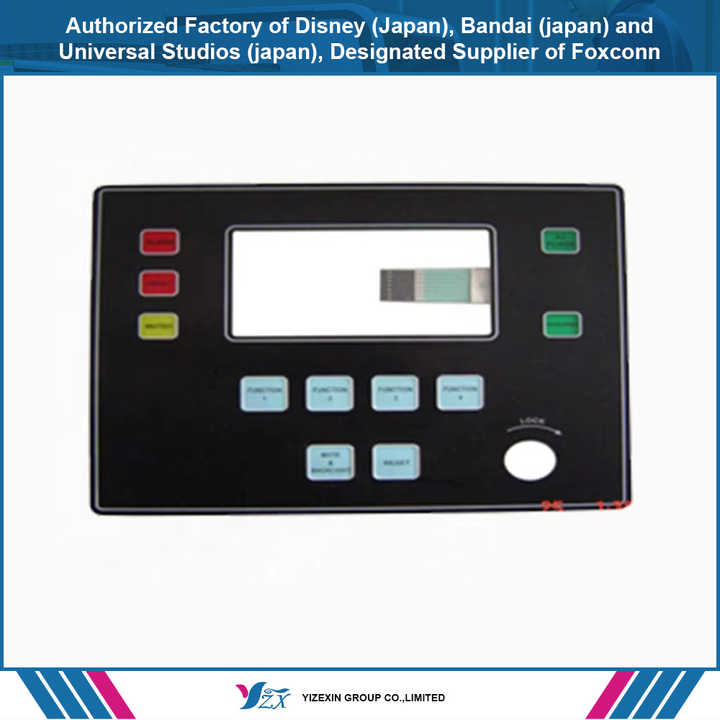 Controller with Flexible Display - Membrane Keypad