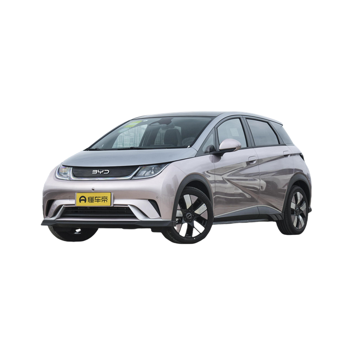 Byd Dolphin 2024 Honor Version 401km Knight Version Mini Long Life New ...