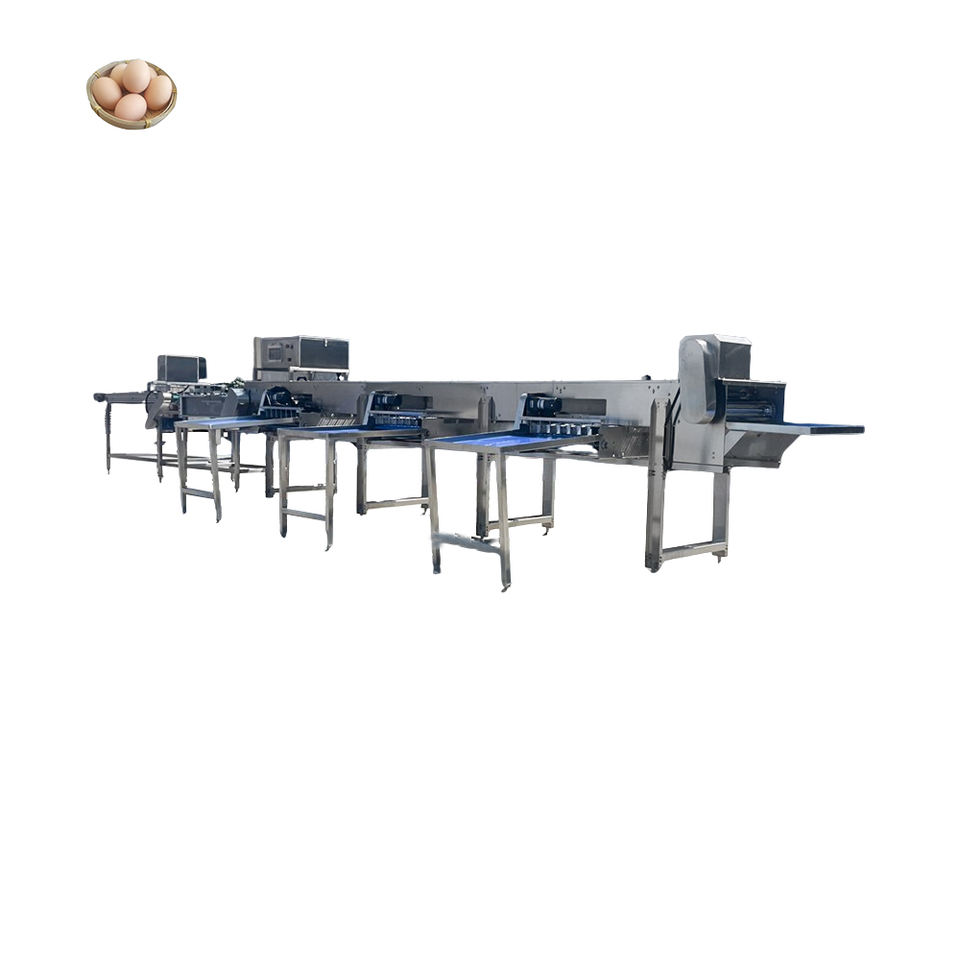 Egg Processing Plant Equipment Egg Sorter Automatic Egg Sorter| Alibaba.com