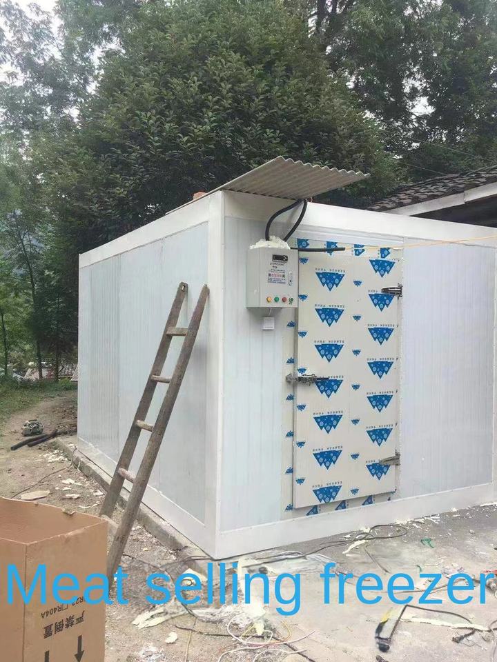Small Commercial Container Cold Room Storage Equipment with Soundproof ...