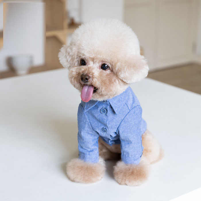 Handsome Autumn Winter Pet Dog Blue Jean Shirt Gentle Clothes| Alibaba.com