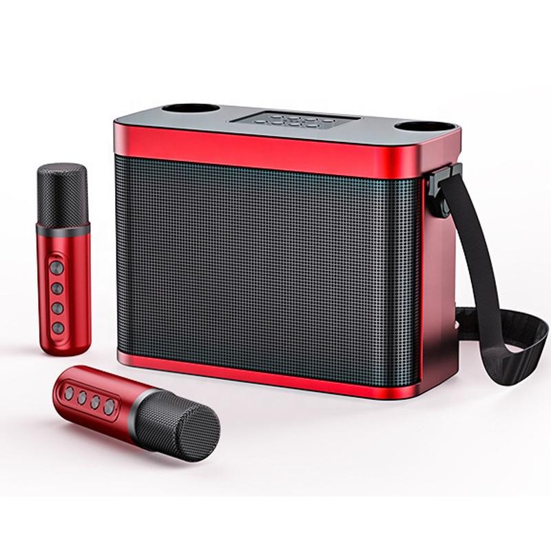 2 in 1 Portable Karaoke Wireless Bluetooth Speaker Dual Mic Speaker ...