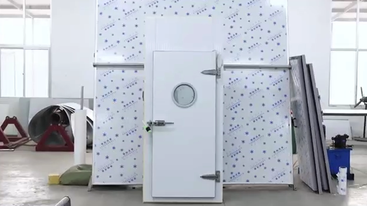 Refrigerator Hinged Doors Walk-in Cold Room Semi-buried Doors ...